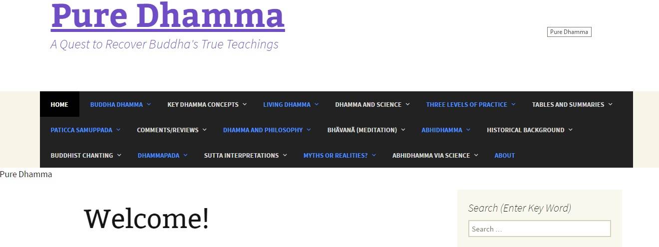 User's Guide To Puredhamma.net Website On Buddhism