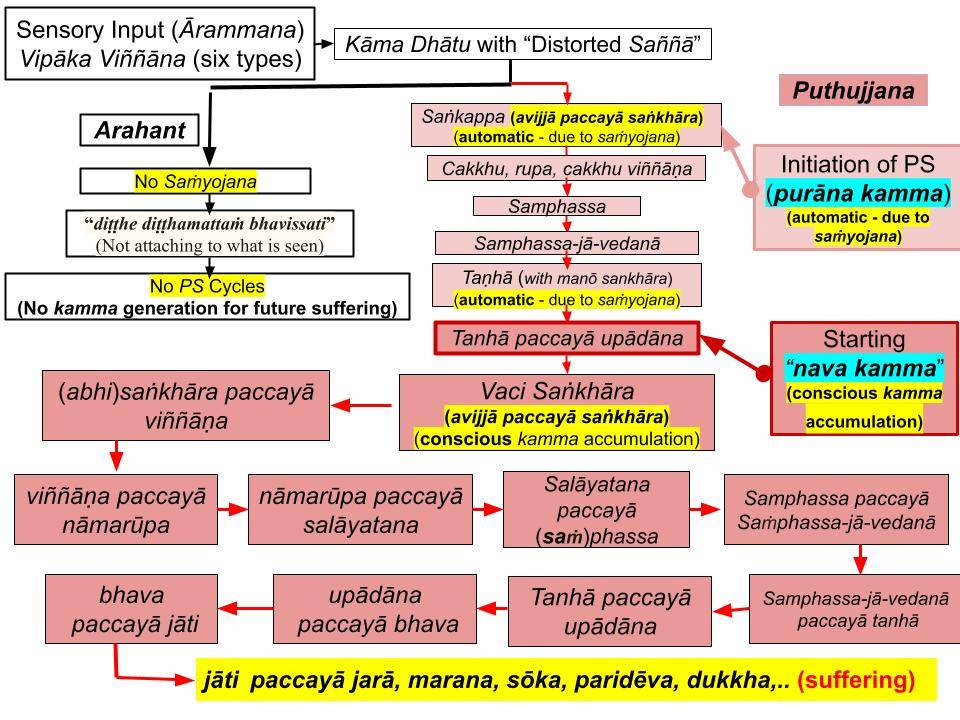 Purāna And Nava Kamma - Sequence Of Kamma Generation | Pure Dhamma