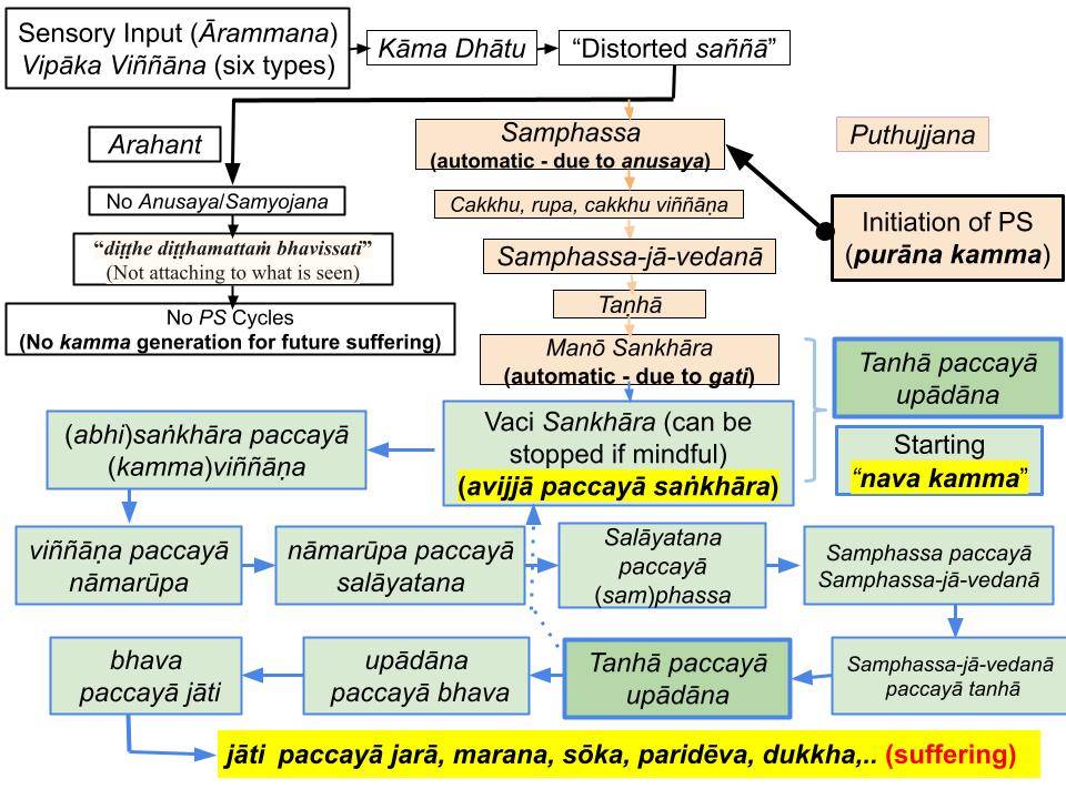 Purāna And Nava Kamma - Sequence Of Kamma Generation | Pure Dhamma
