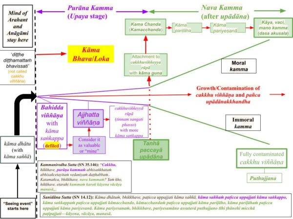Purāna And Nava Kamma - Sequence Of Kamma Generation | Pure Dhamma