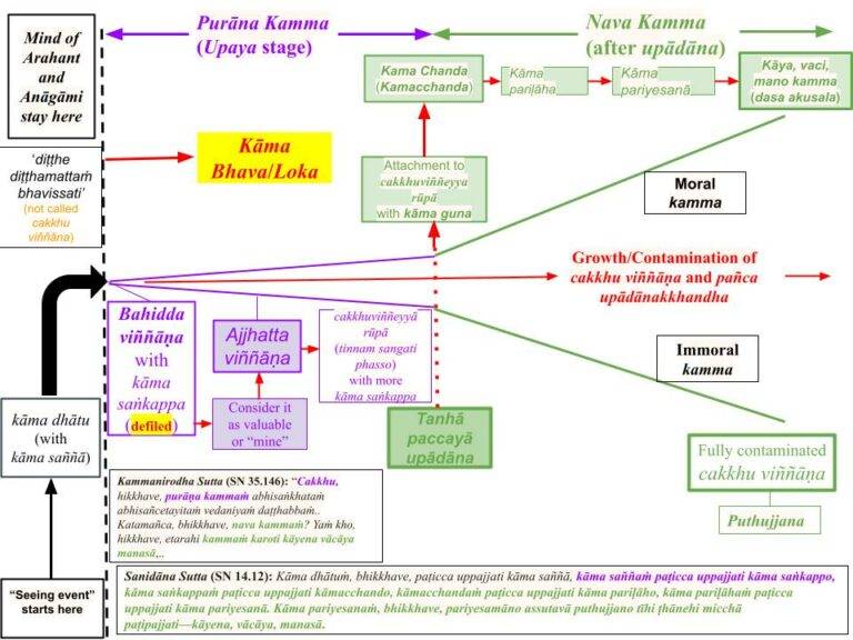 Purāna And Nava Kamma - Sequence Of Kamma Generation | Pure Dhamma