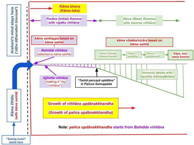Rupa - What It Really Means | Pure Dhamma