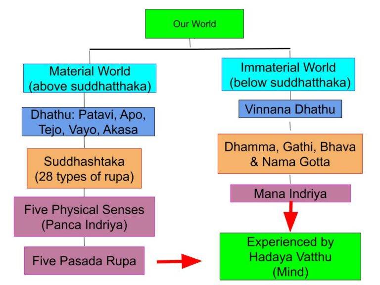 Our Two Worlds: Material And Immaterial | Pure Dhamma